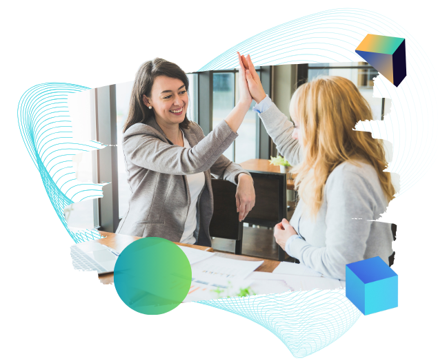 ISV Partners | Bluestone PIM